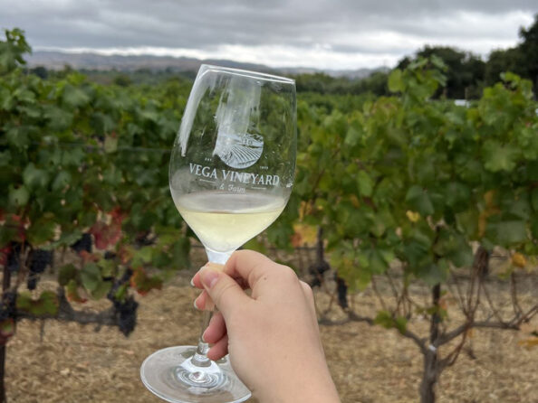 Santa Barbara Festivals | Events, Things to Do
