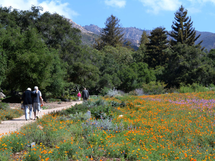 Santa Barbara Hiking Trails and Scenic Vistas | Visit Santa Barbara
