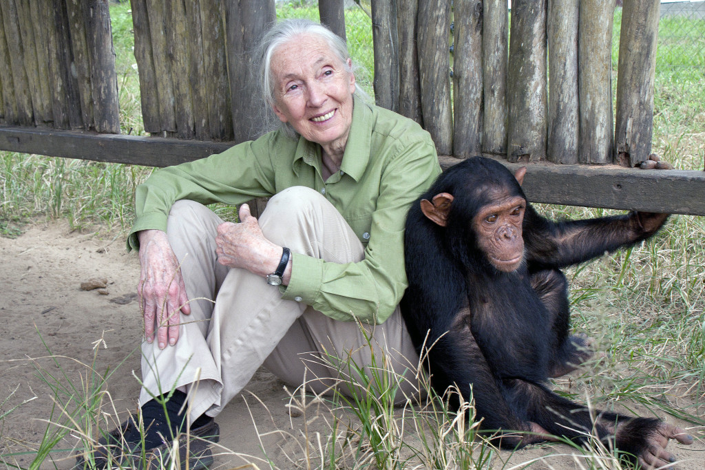 Jane-Goodall_AP0335-60_photo-The-Jane-Goodall-Institute_b06b60e0-5056 ...