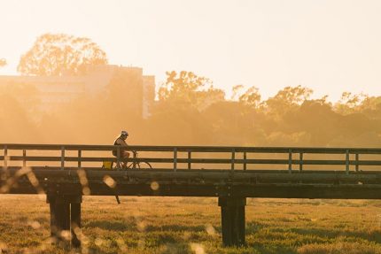 Goleta, CA "The Good Land" | Visit Santa Barbara
