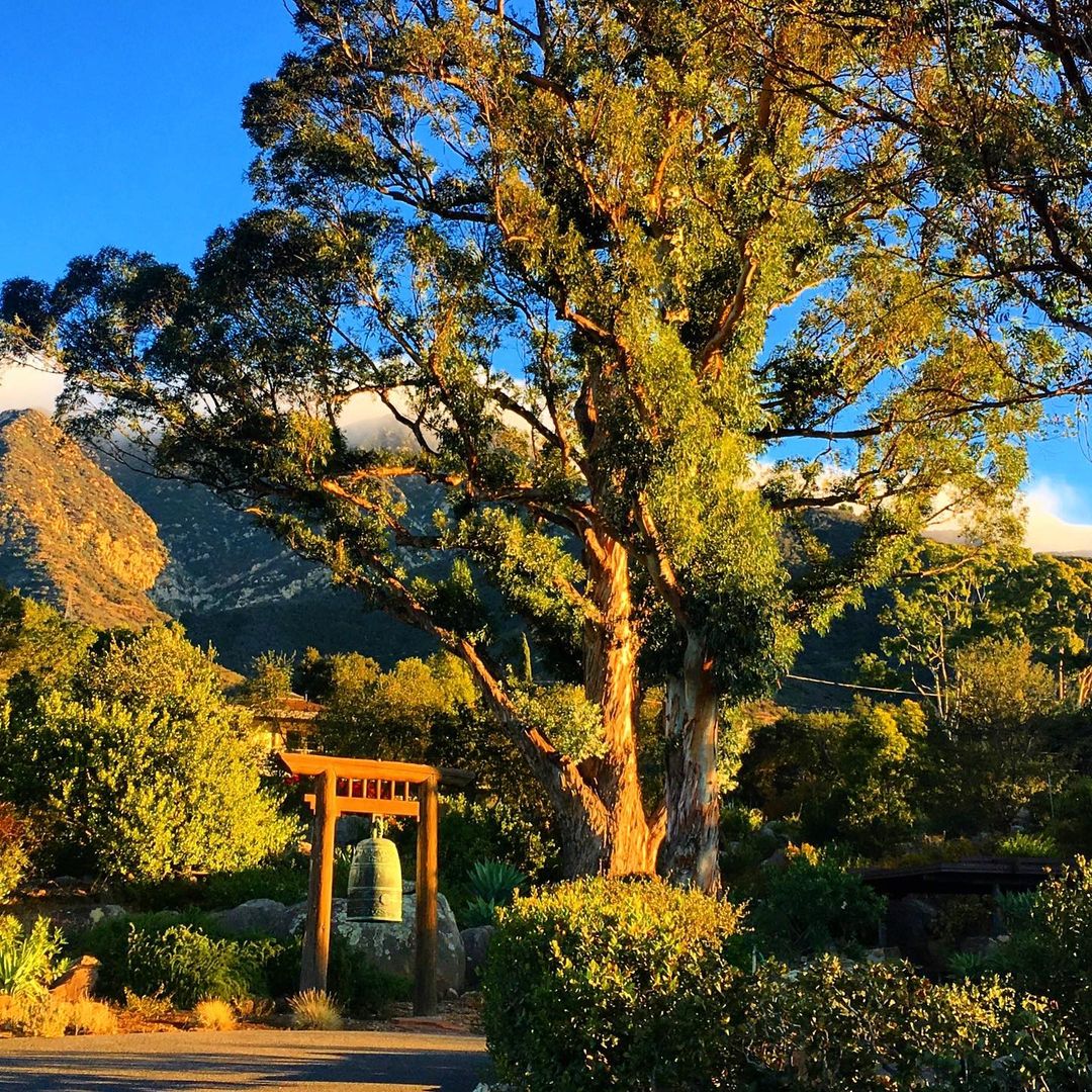 Around the World in Santa Barbara - Visit Santa Barbara