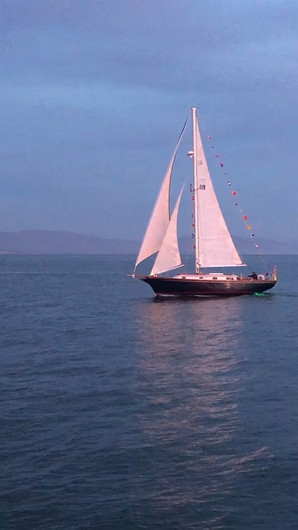 kelpie-full-compliment-resized_DDF969DA-058B-46AC-853563CCAC81FC71 ...